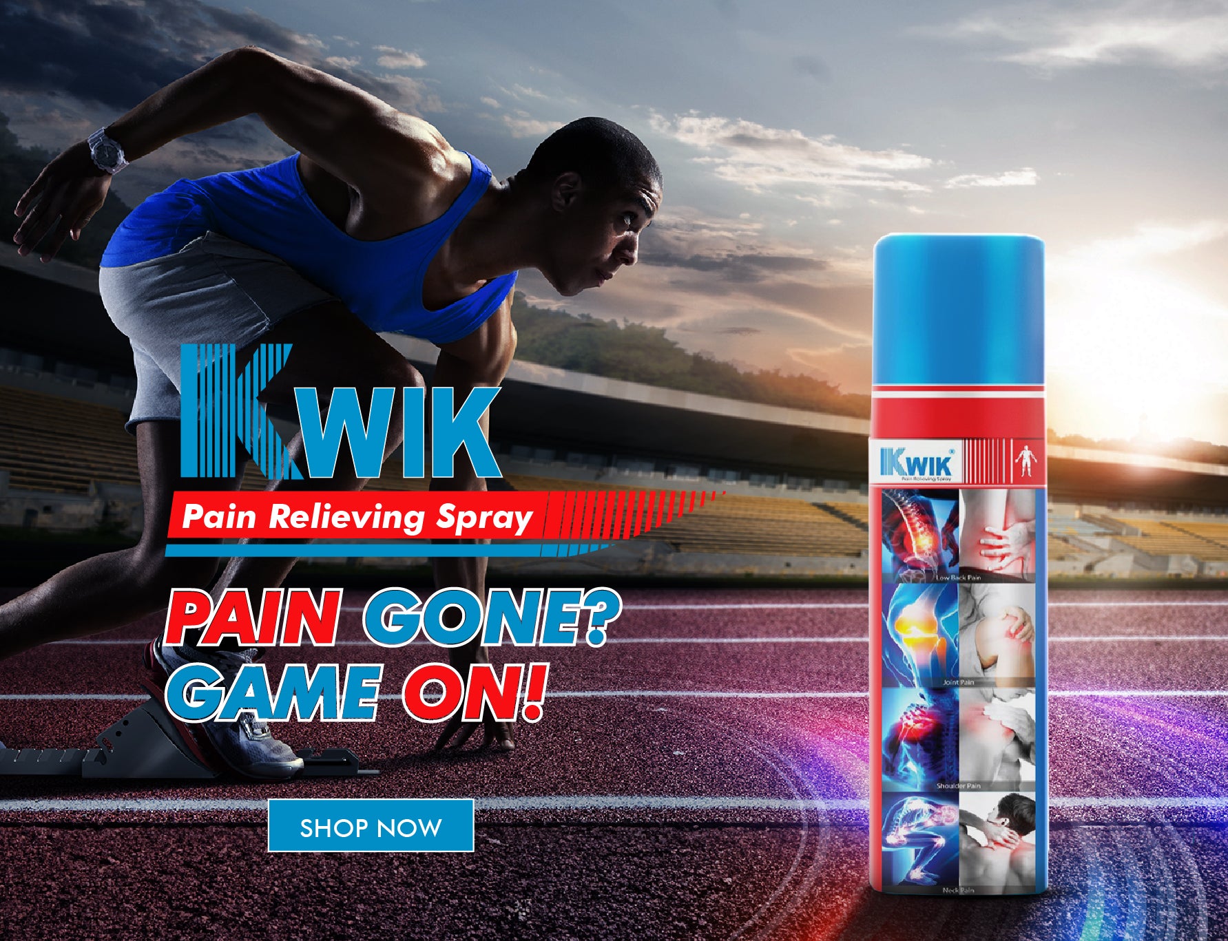 Buy Ayurvedic Pain Relief Product Online - KWIK Pain Relief